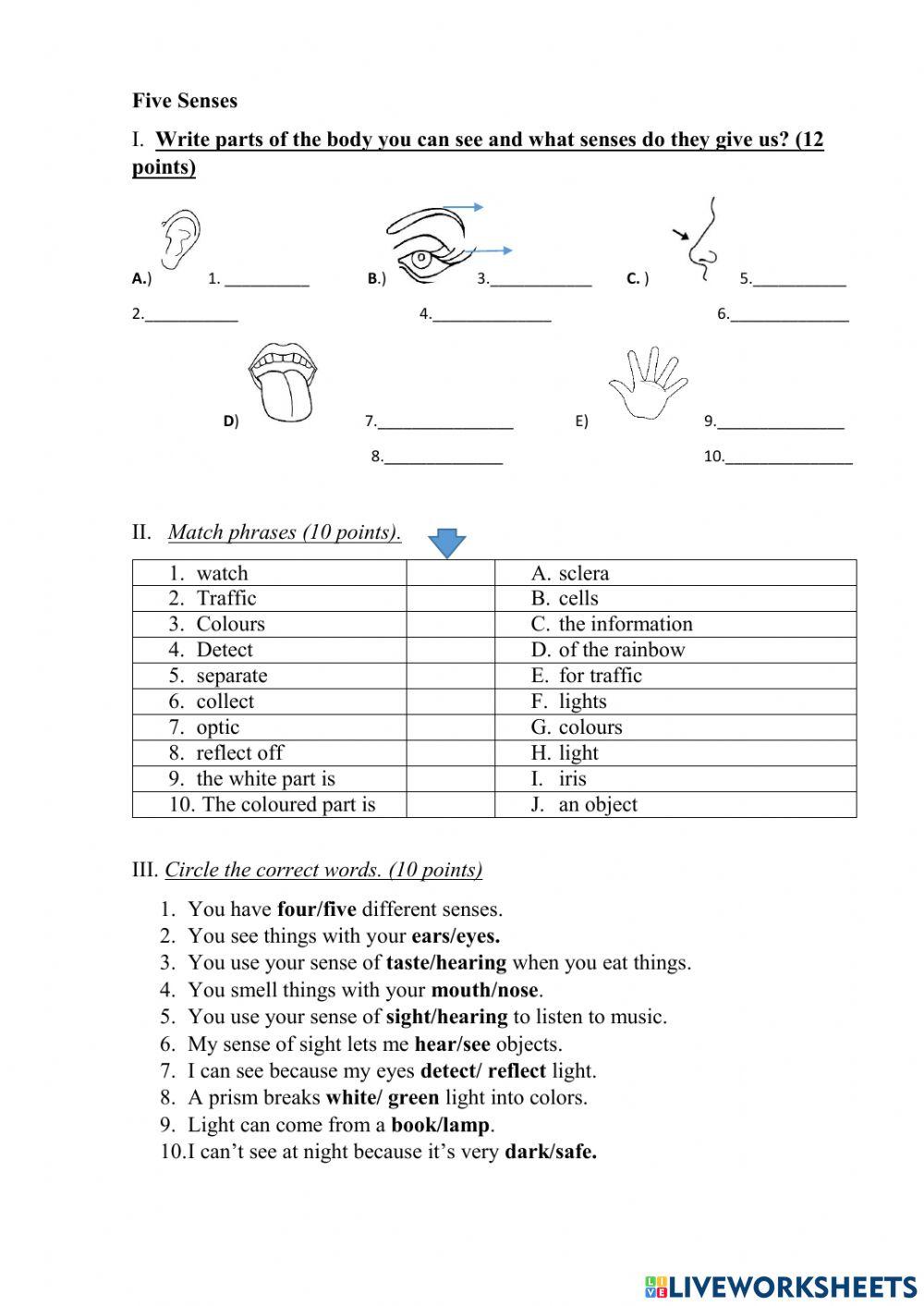 Human body Human body worksheet | Live Worksheets