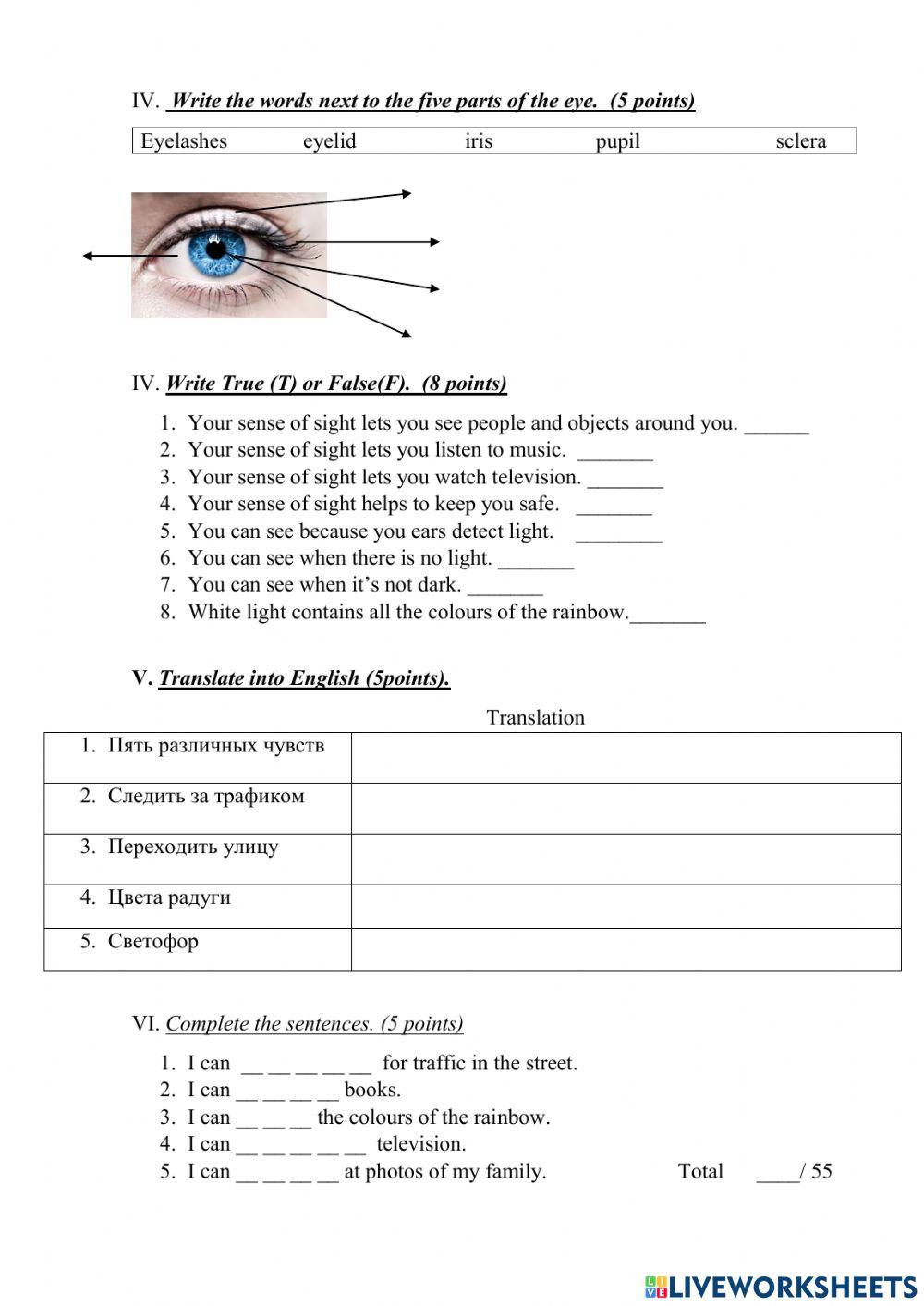 Human body Human body worksheet | Live Worksheets