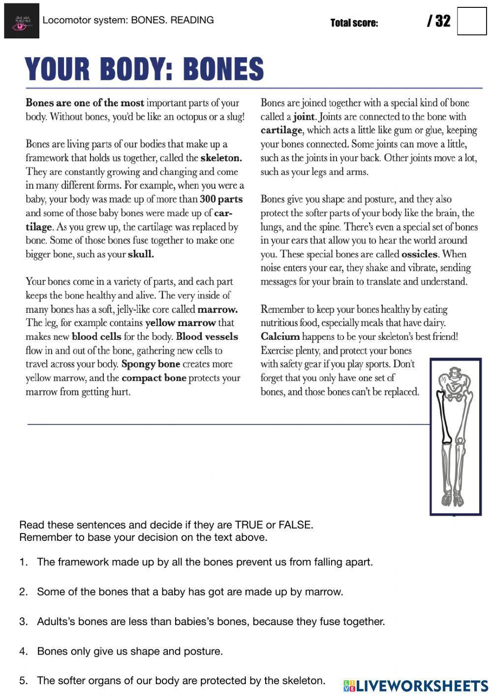 Locomotor syste… | Free Interactive Worksheets | 744932