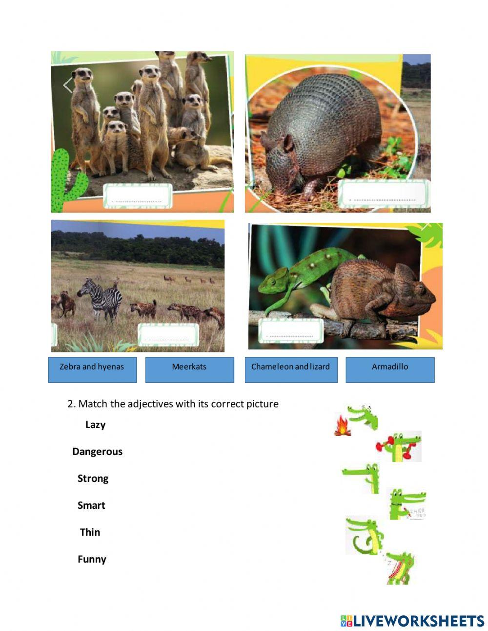 745728 | Reading about Animals | Enzonbrand