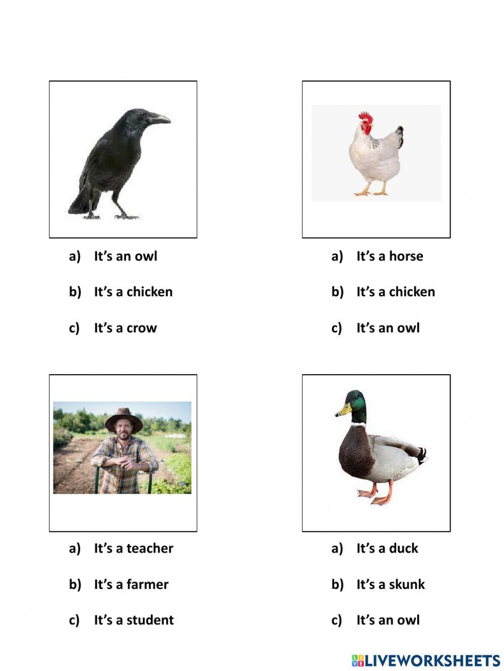 3rd. Bimester units 5 and 6 worksheet | Live Worksheets