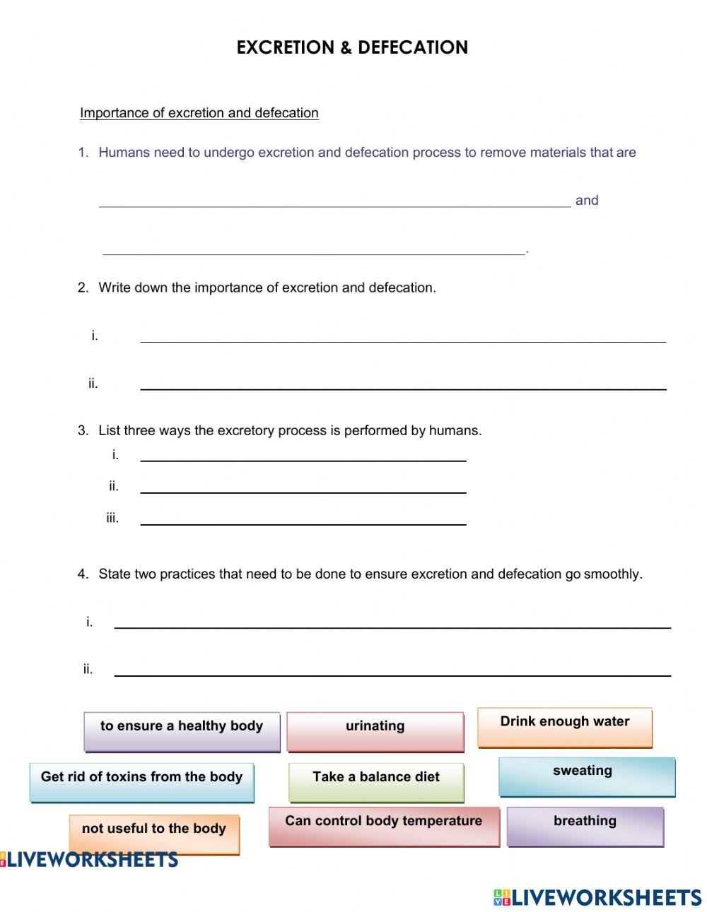 EXCRETION - DEFECATION online exercise for | Live Worksheets