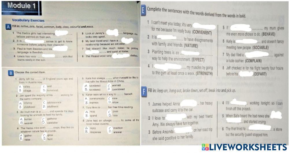 B1+ MODULE VOCABULARY TEST online exercise for | Live Worksheets