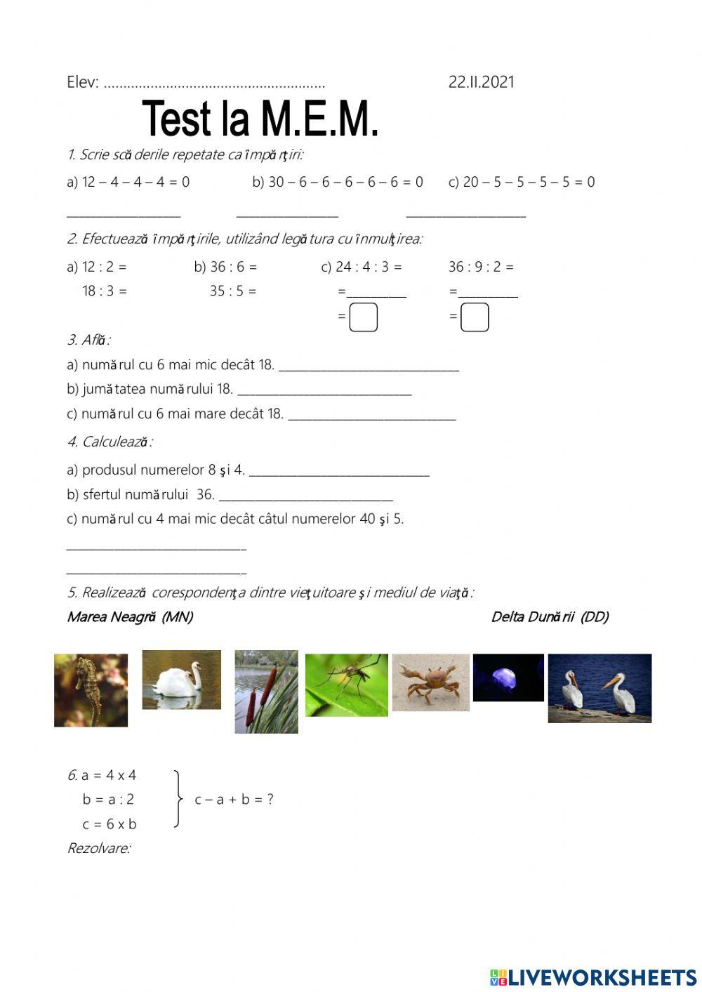Test MEM-impartirea pana la 6 online exercise for | Live Worksheets