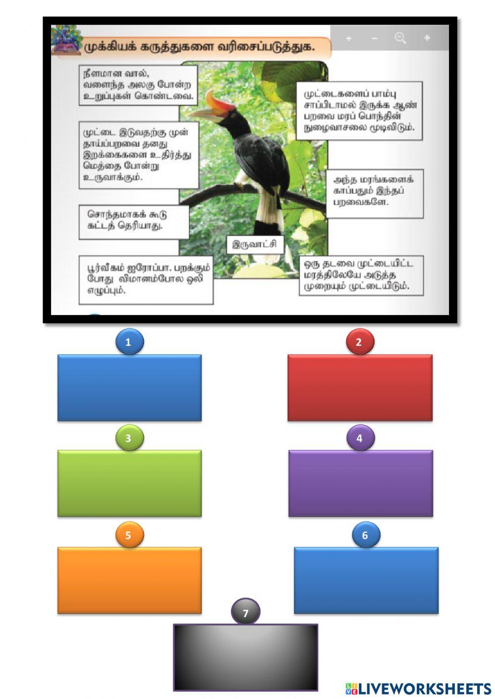 Tamil | Free Interactive Worksheets | 750433