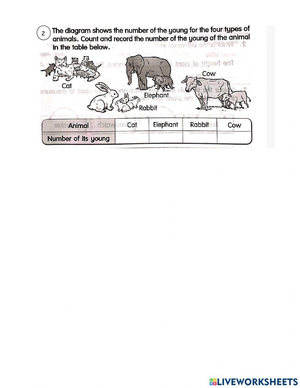 Communicate - Science Process Skills worksheet | Live Worksheets