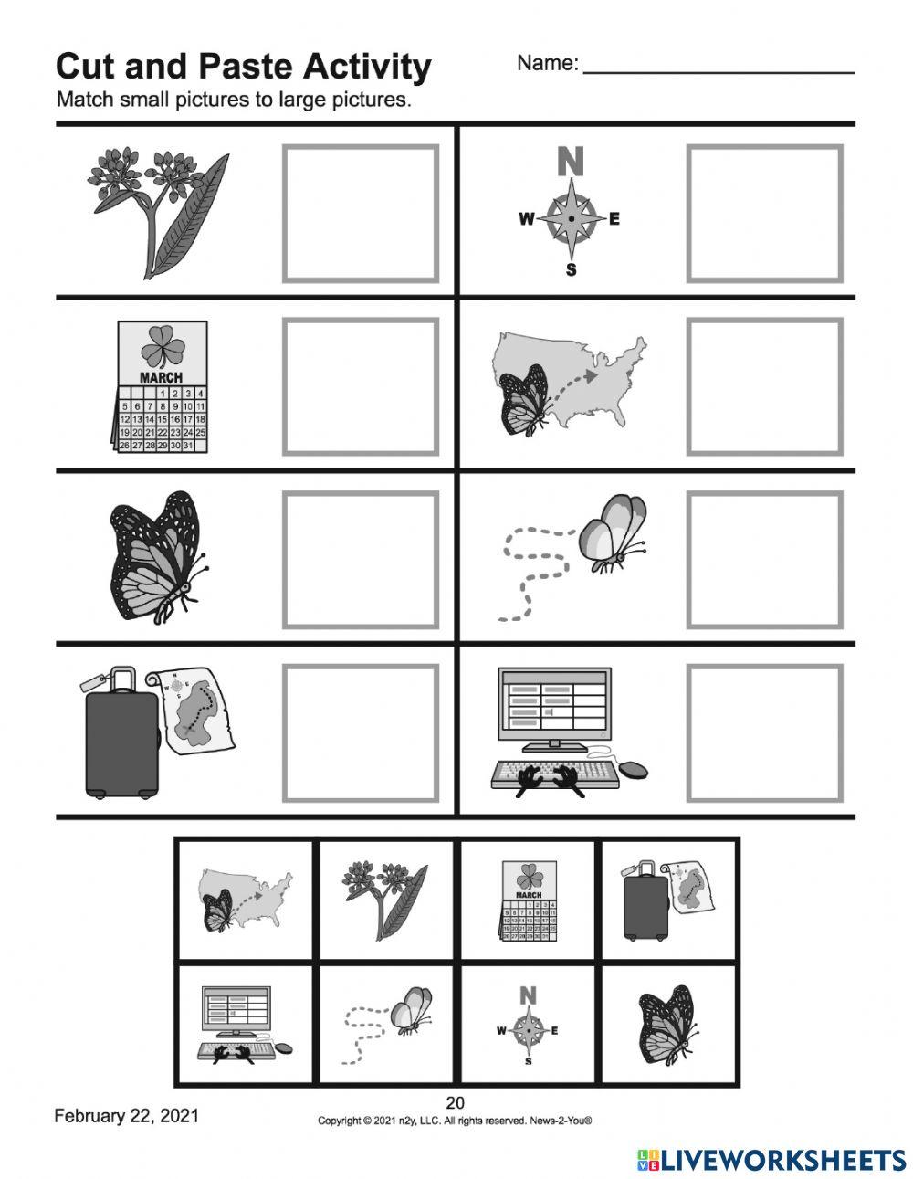 Monarch Migration Matching | Pamela K. Ingram | Live