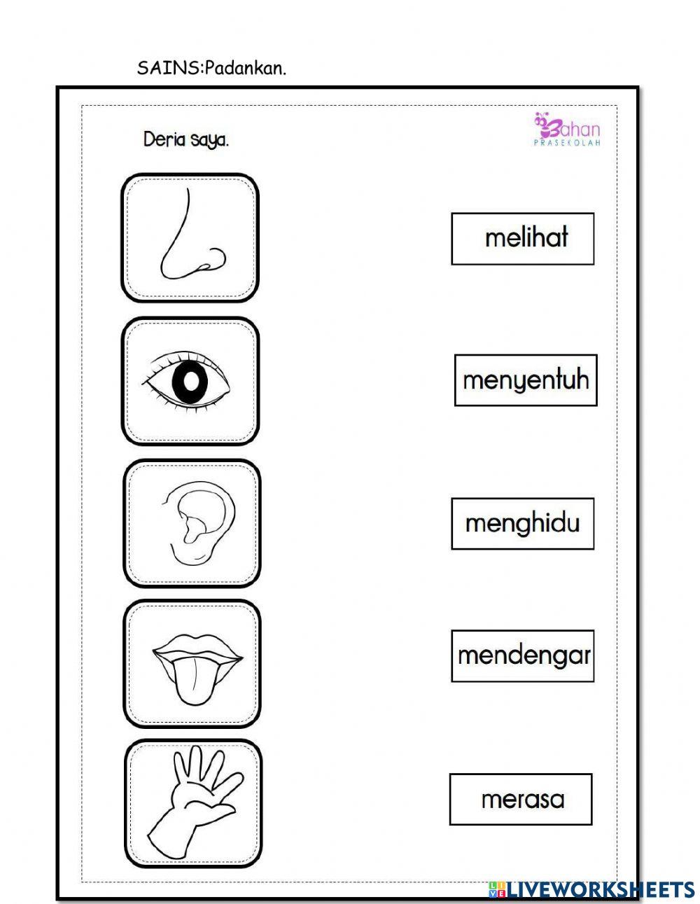 754192 | Sains pra sekolah | NOORAZLIDA | LiveWorksheets