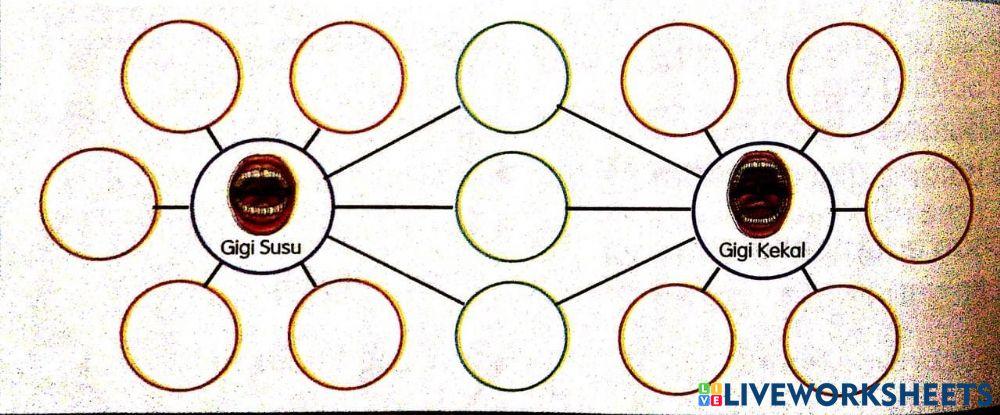 Banding beza set gigi susu dan set gigi kekal worksheet | Live Worksheets