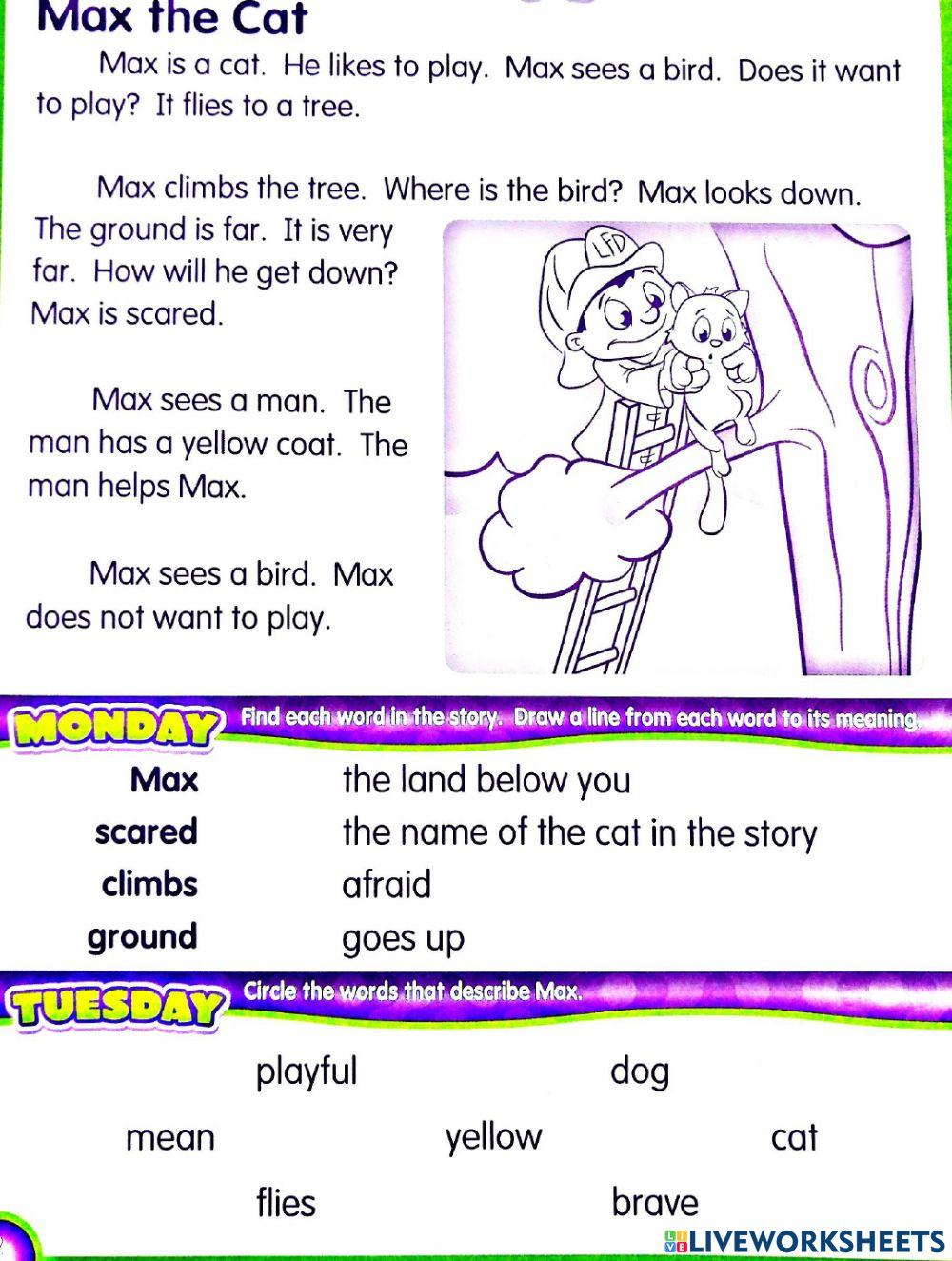 Week 1 worksheet | Live Worksheets