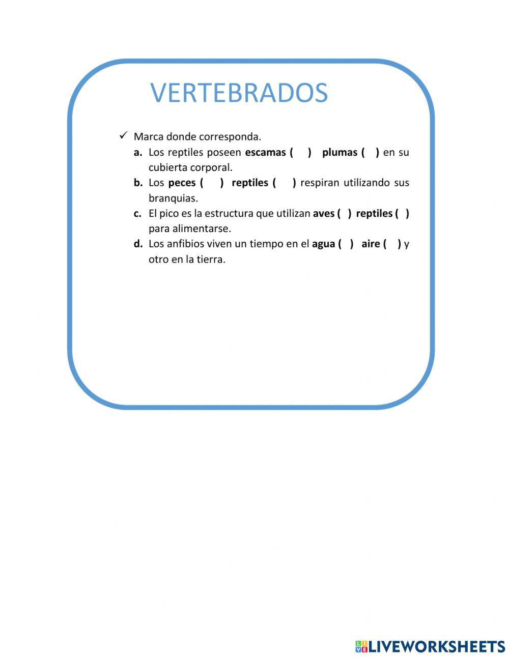 Vertebrados worksheet for Segundo | Live Worksheets