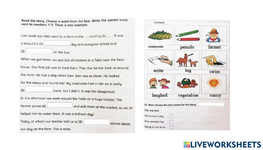 18 - Reading Practice- 26-2 worksheet | Live Worksheets