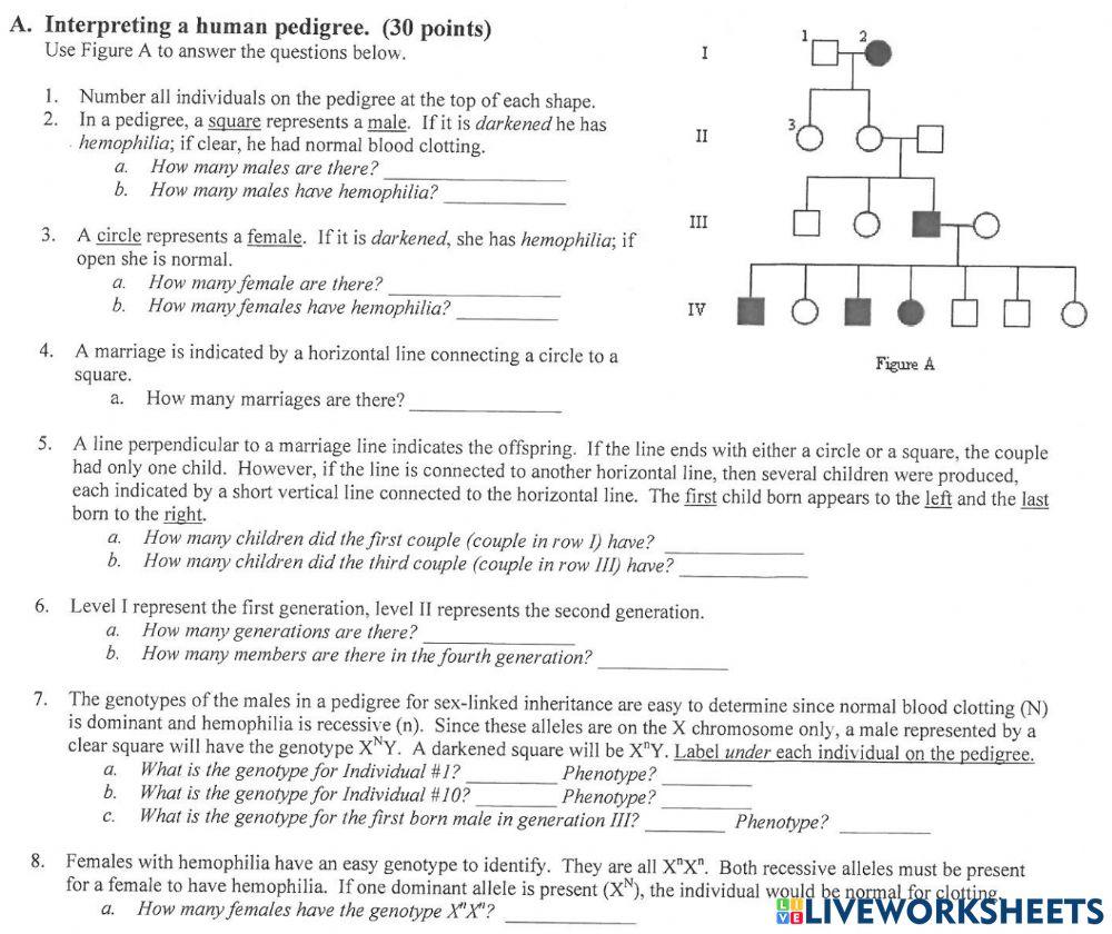 Sex Linked Traits Online Exercise For Live Worksheets