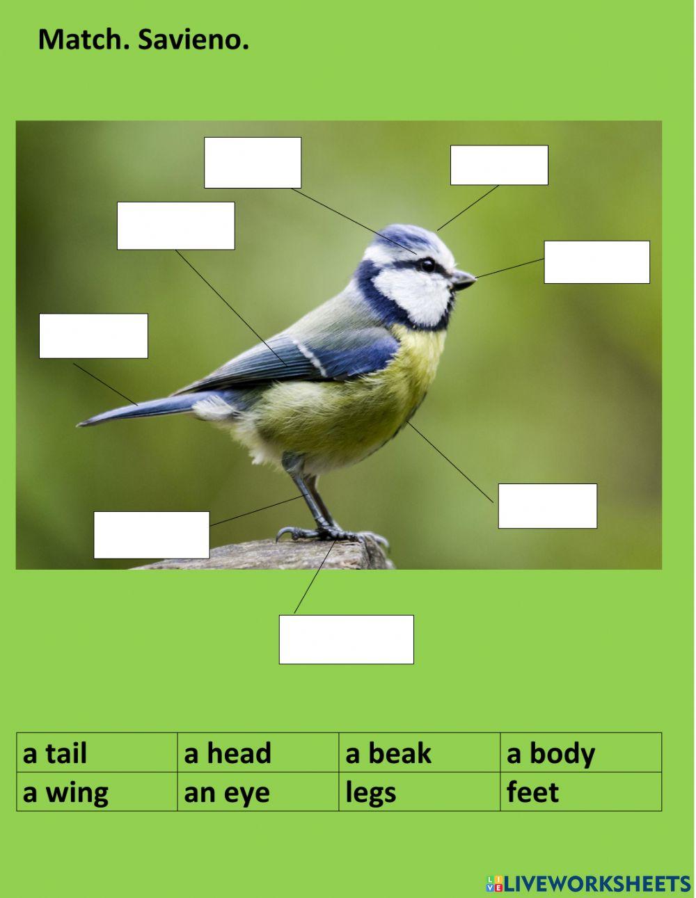 Farm animals. Writing worksheet | Live Worksheets