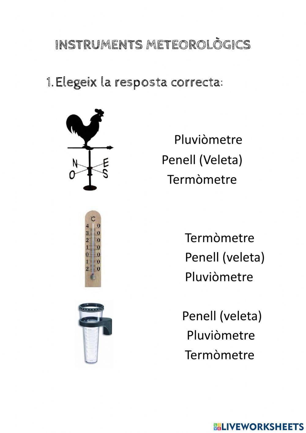 Instruments meteorològics interactive worksheet | Live Worksheets