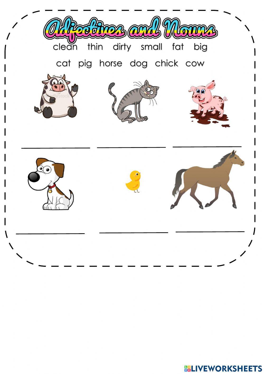 Adjectives and Nouns exercise | Live Worksheets