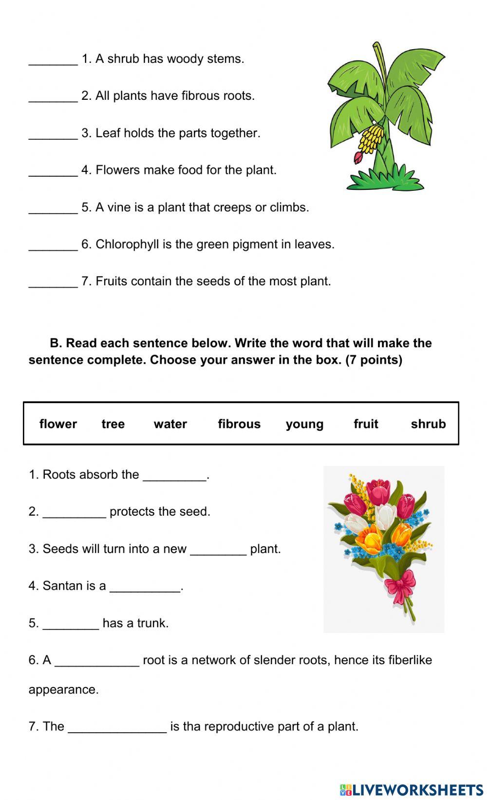 3rd Quarterly Examination - Science III online exercise for | Live Worksheets