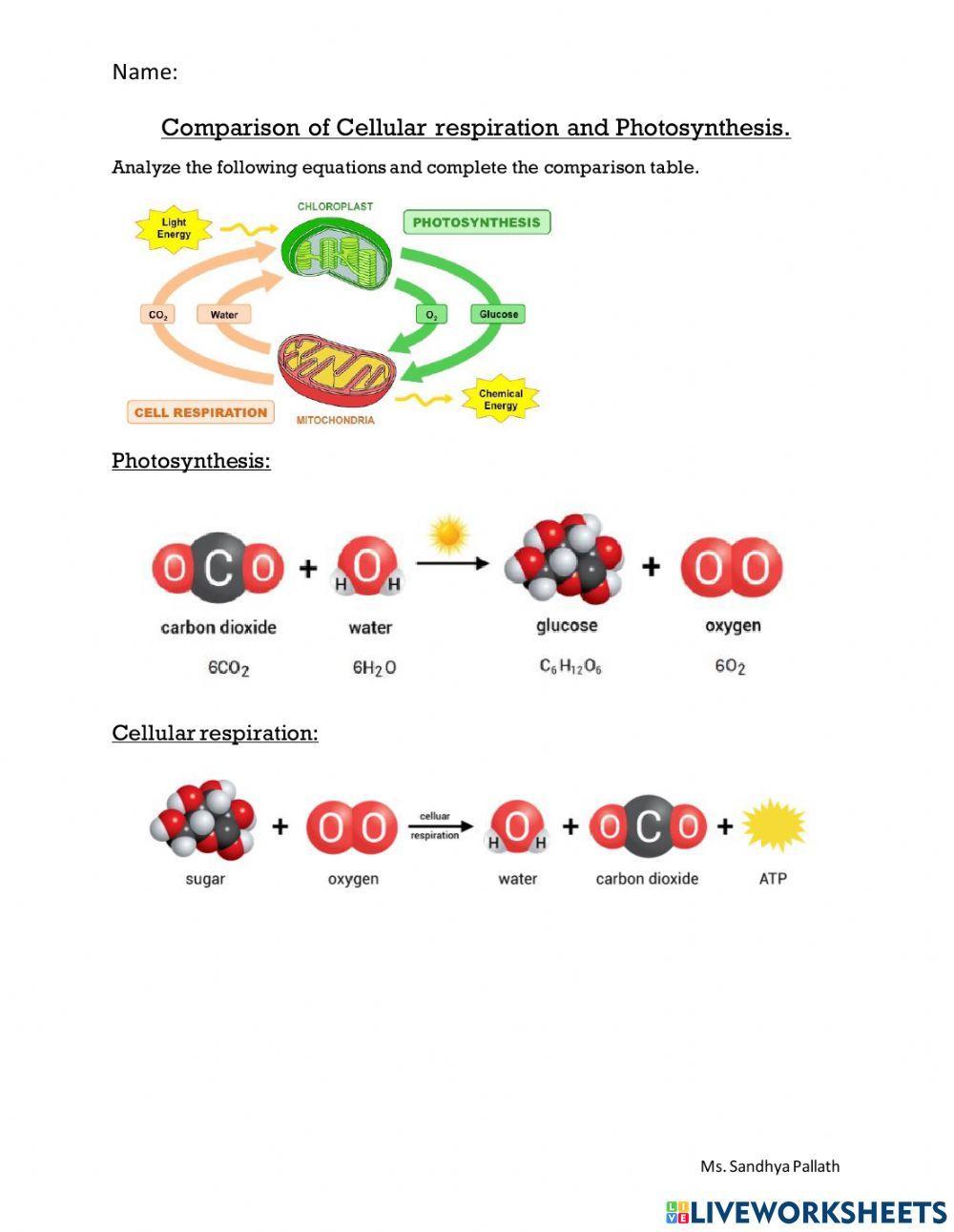 C6h12o6 Photosynthesis