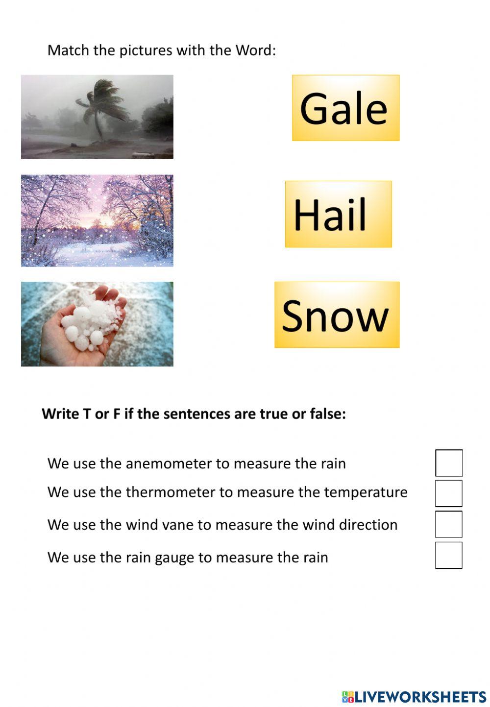 Weather online exercise for Grade 2 | Live Worksheets