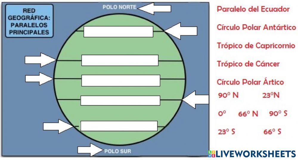 PRINCIPALES PARALELOS online exercise for | Live Worksheets