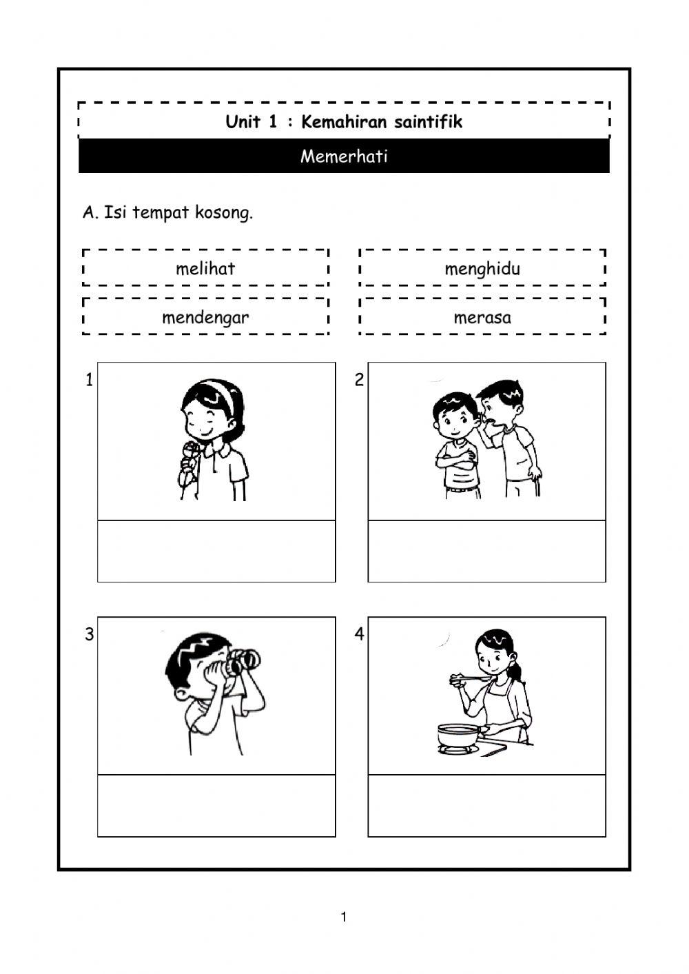 4686209 | Sains Tahun 2 Unit 1 : Memerhati