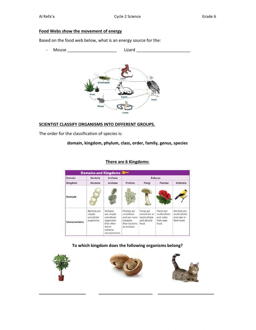 Classification Of Life Worksheet Live Worksheets classification-of-life-worksheet-live-worksheets