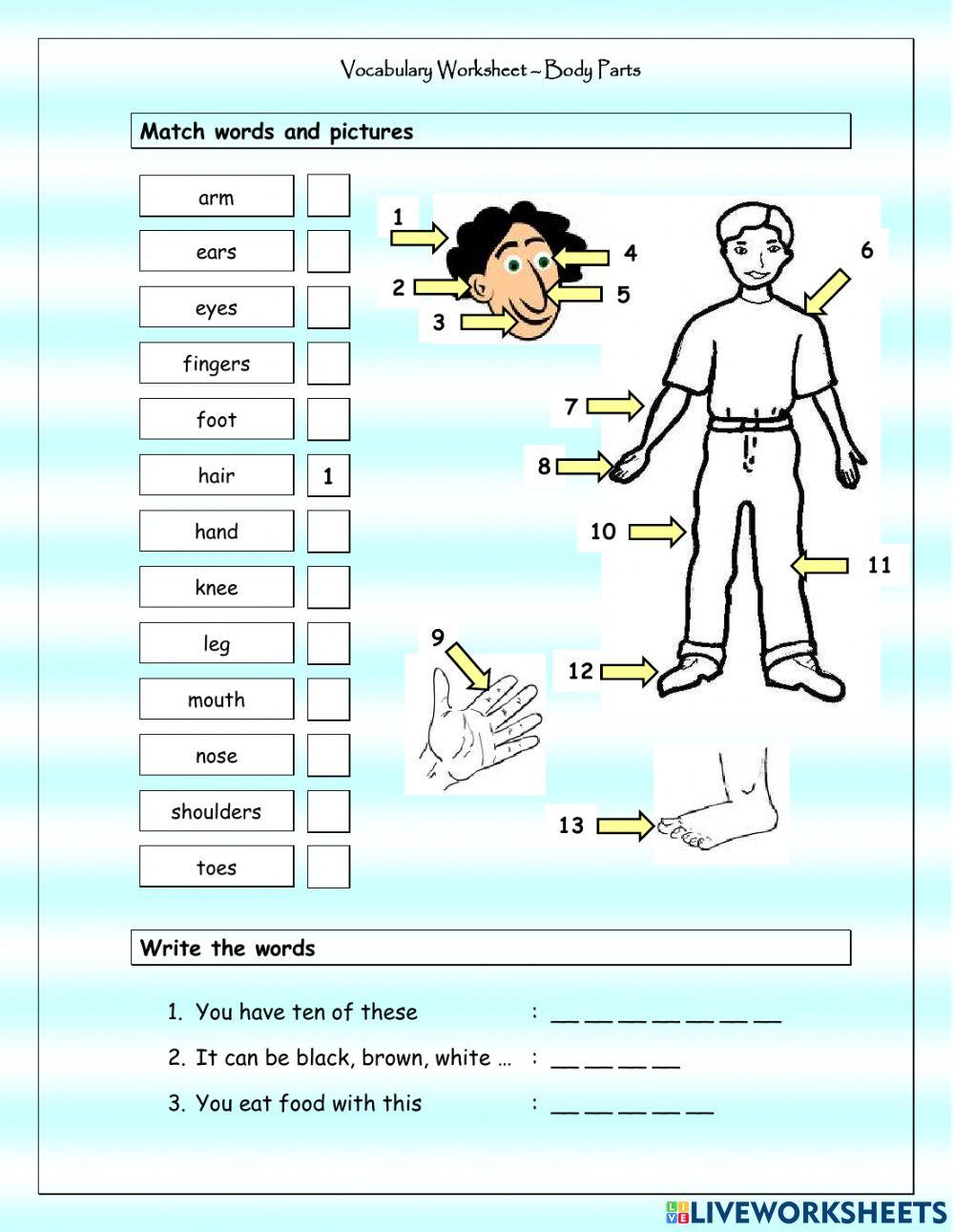 Body parts online exercise for 6 | Live Worksheets