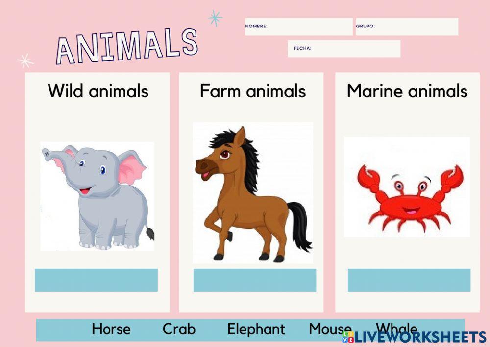 Activity ANIMALS 2B worksheet | Live Worksheets