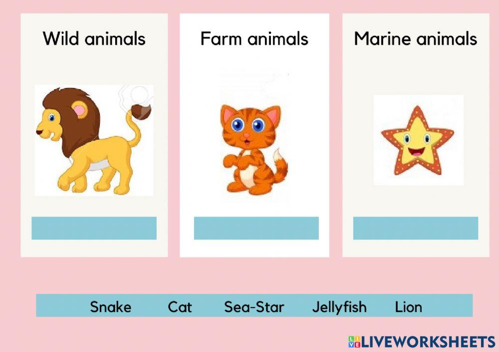 Activity ANIMALS 2B worksheet | Live Worksheets