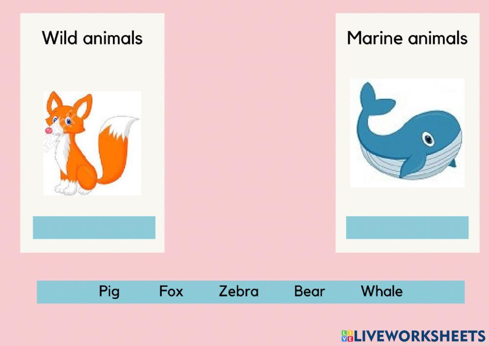Activity ANIMALS 2B worksheet | Live Worksheets