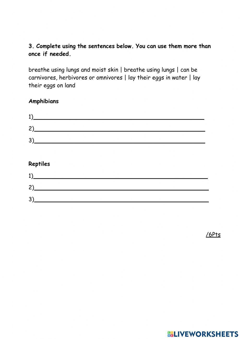 Science P4 Unit 3 invertebrates | cristinasmncc | Live