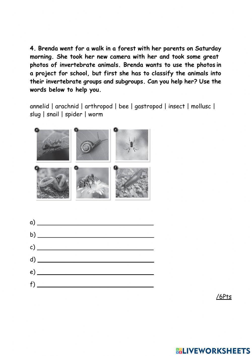 Science P4 Unit 3 invertebrates | cristinasmncc | Live