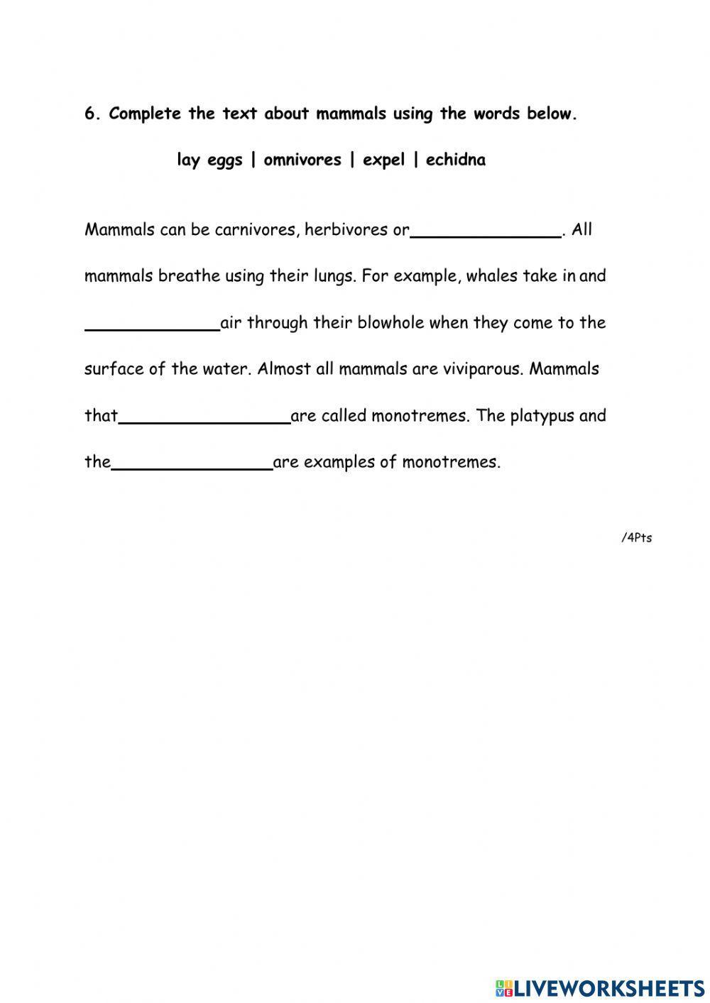 Science P4 Unit 3 invertebrates | cristinasmncc | Live