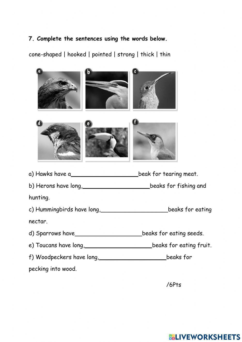 Science P4 Unit 3 invertebrates | cristinasmncc | Live