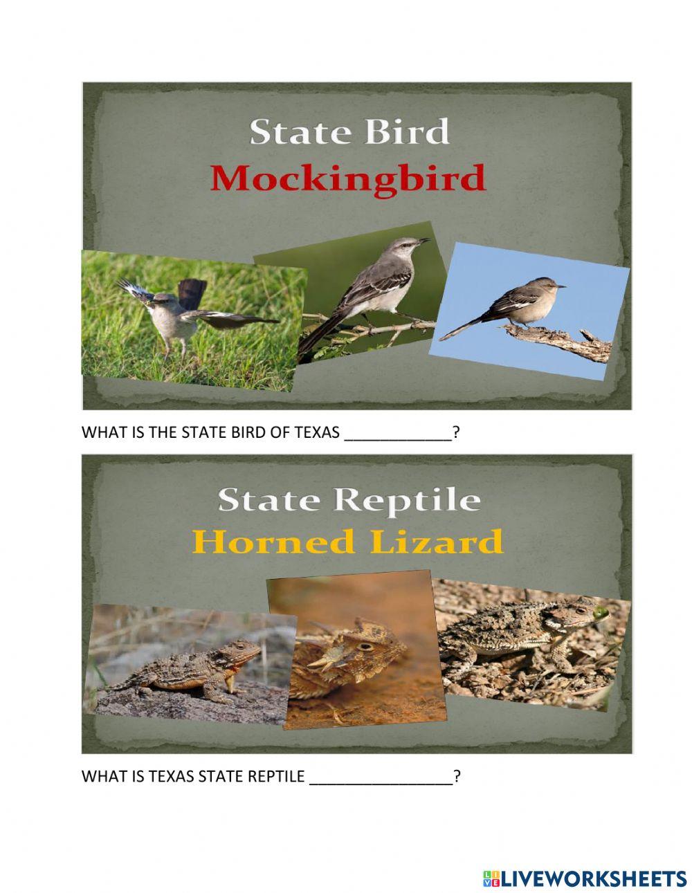 Getting to know texas symbols worksheet | Live Worksheets