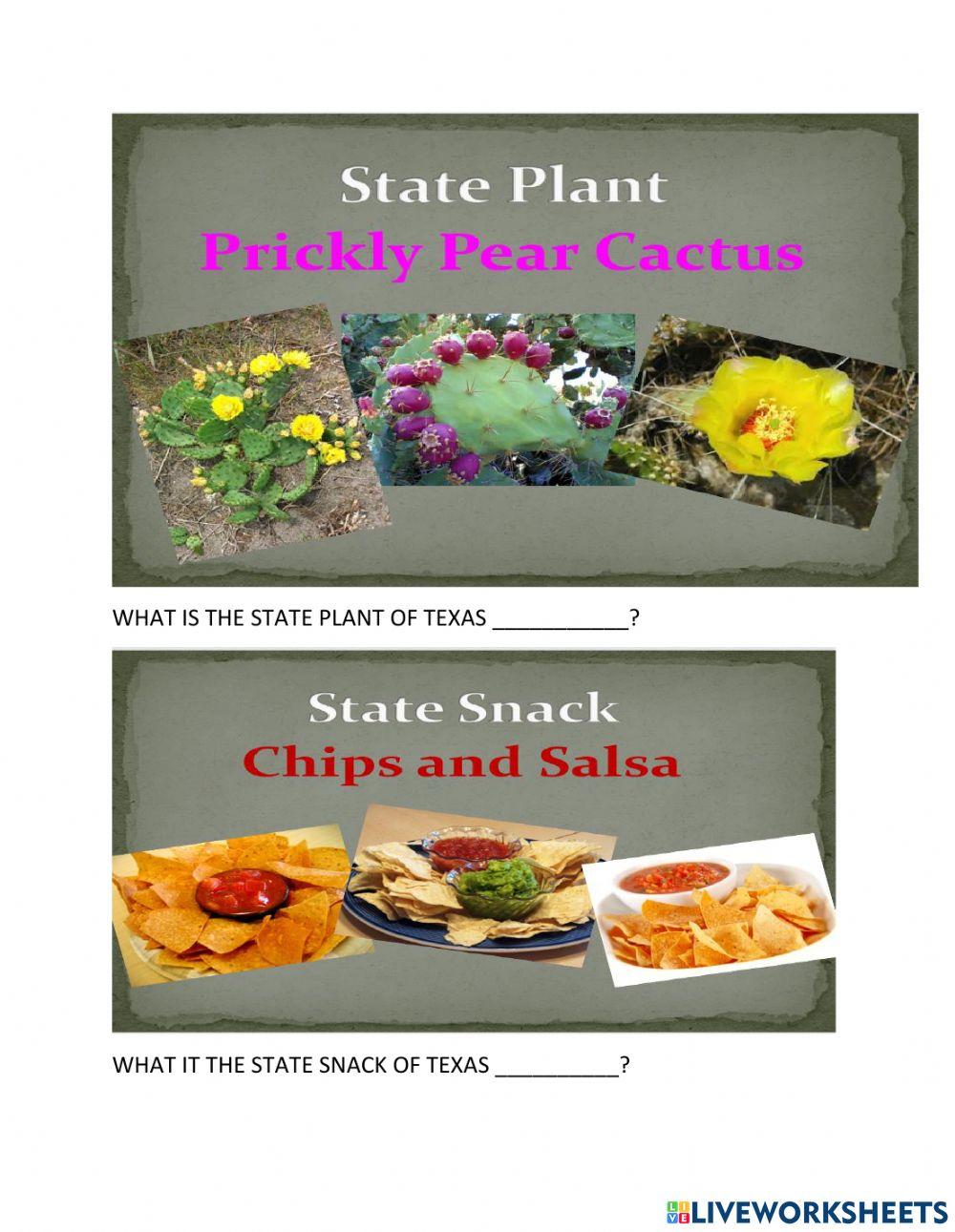 Getting to know texas symbols worksheet | Live Worksheets