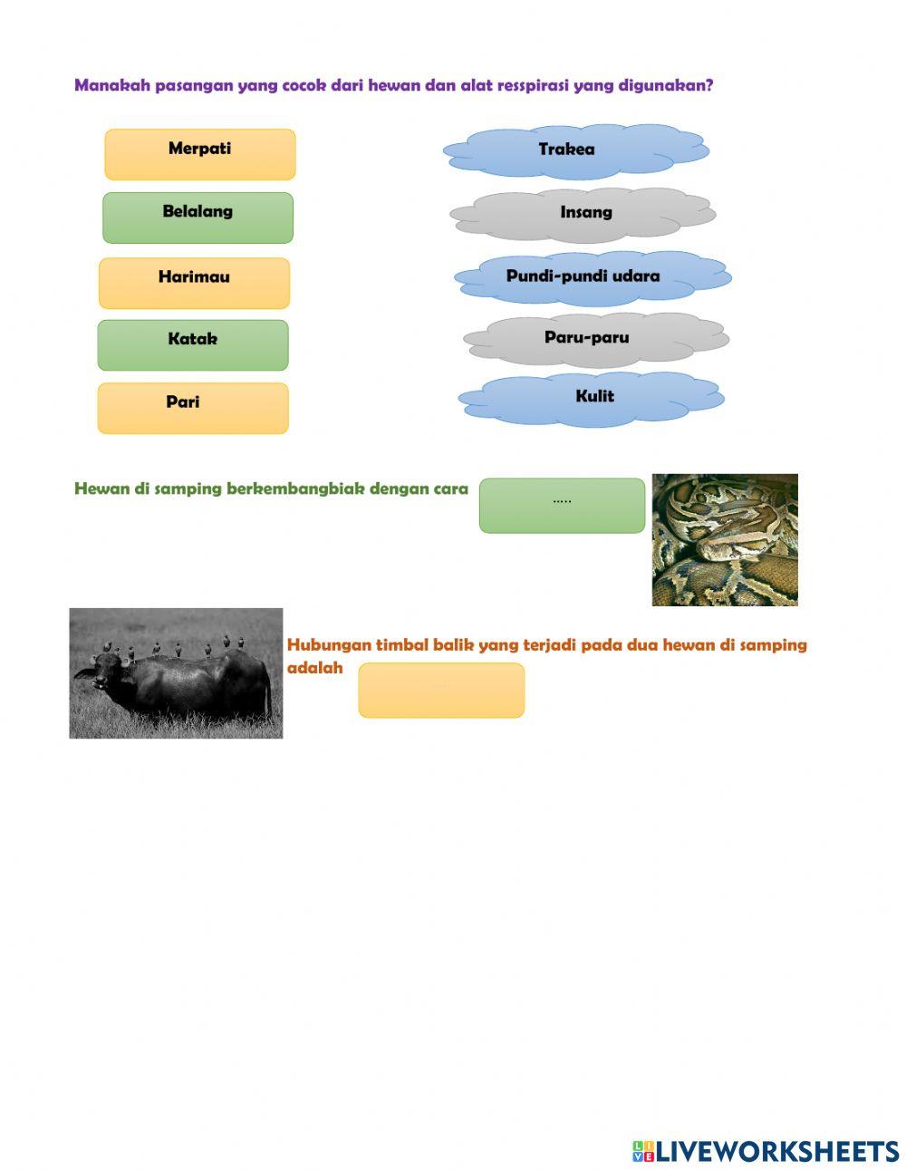Latihan IPA interactive exercise | Live Worksheets