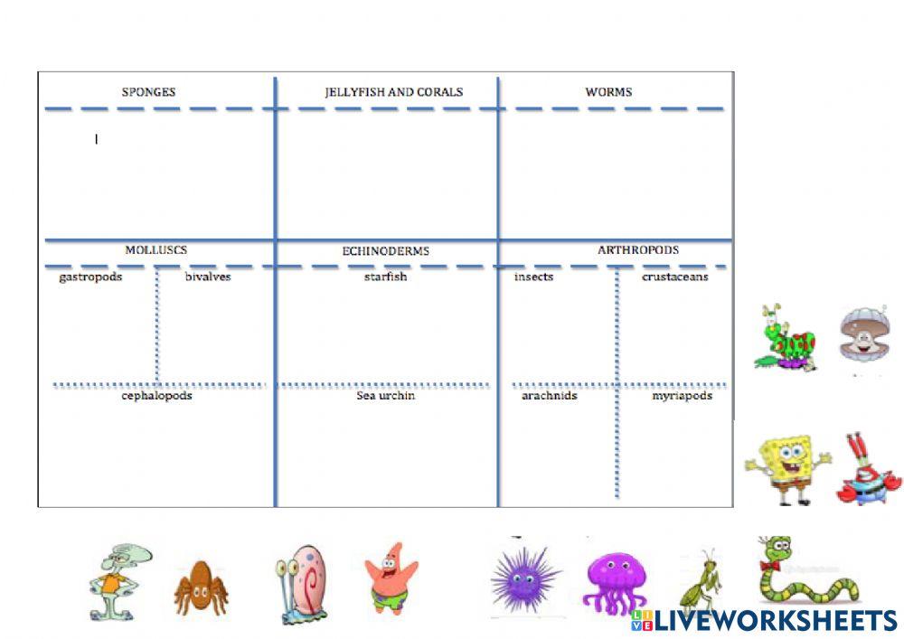 classification of invertebrates 6405895 | Antonio Sánchez