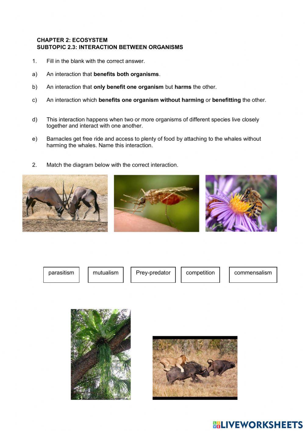 Ecosystem | Free Interactive Worksheets | 697880
