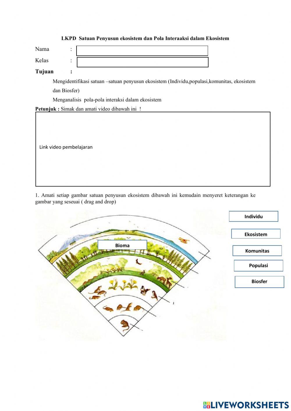Lkpd Pola Interaksi Dalam Ekosistem Worksheet - Riset