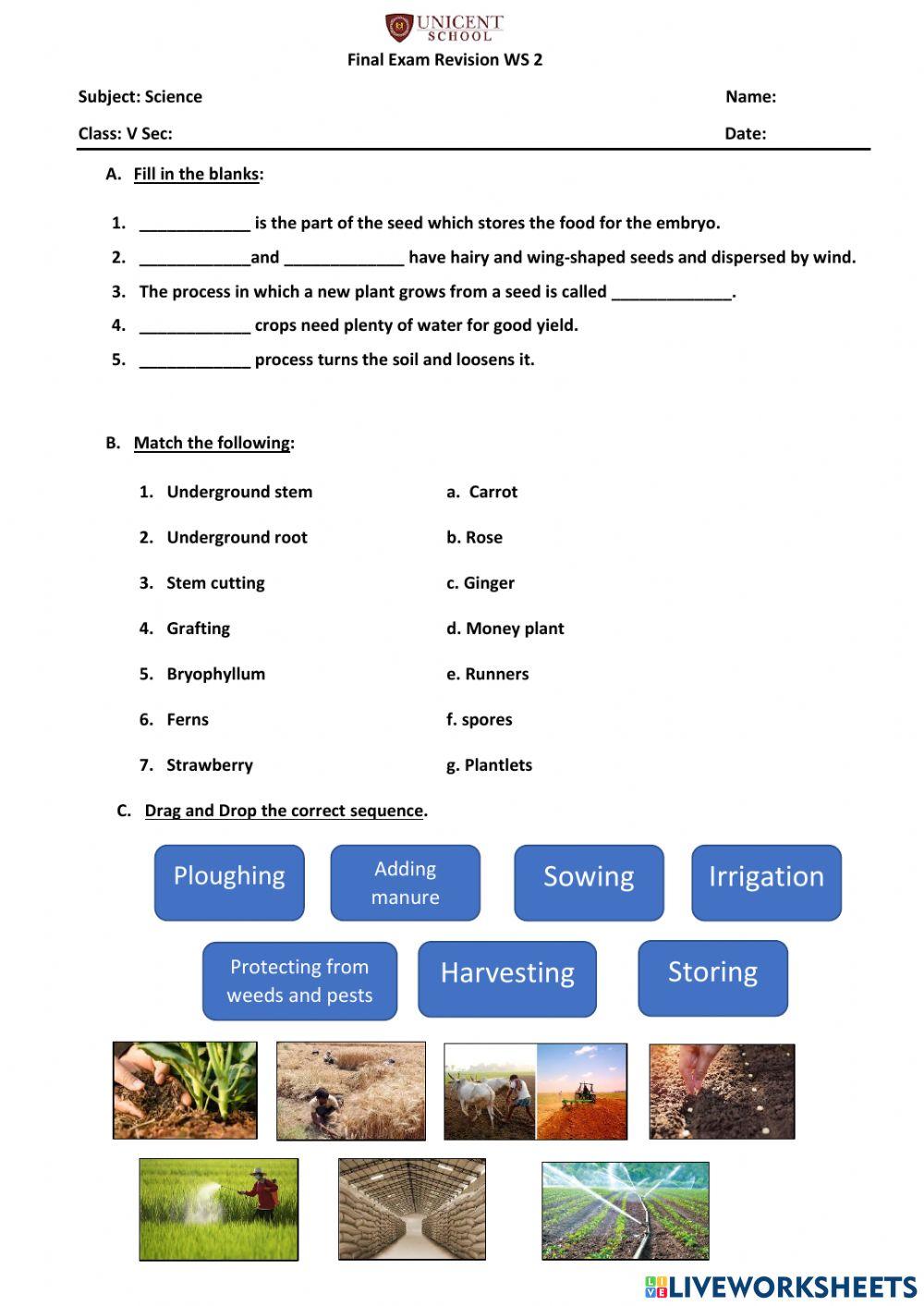 Growing Plants online exercise for | Live Worksheets