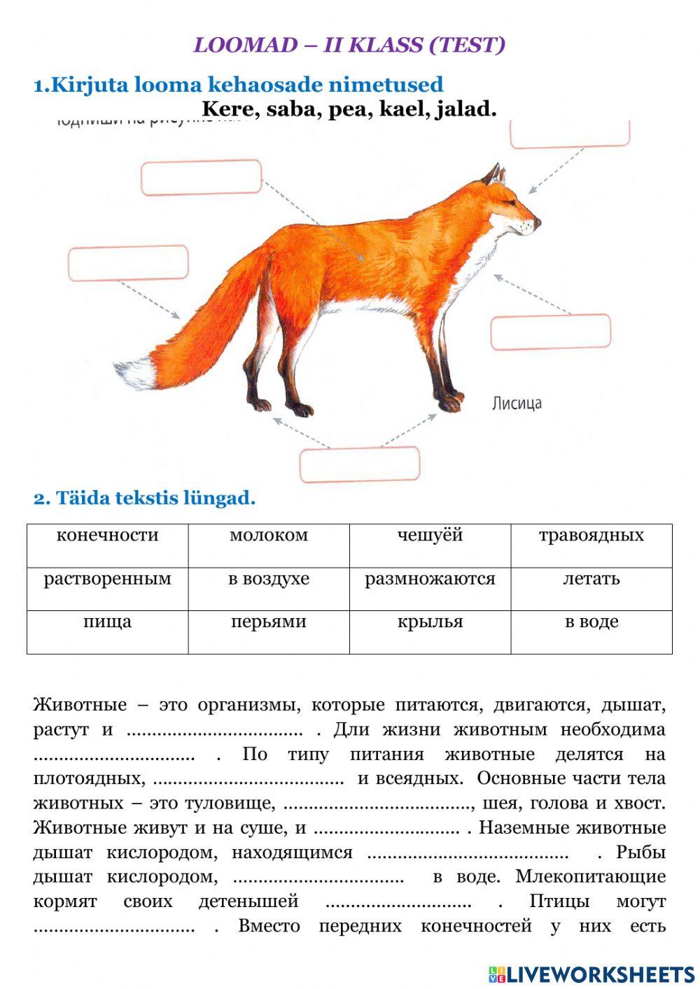 Loomad | Live Worksheets