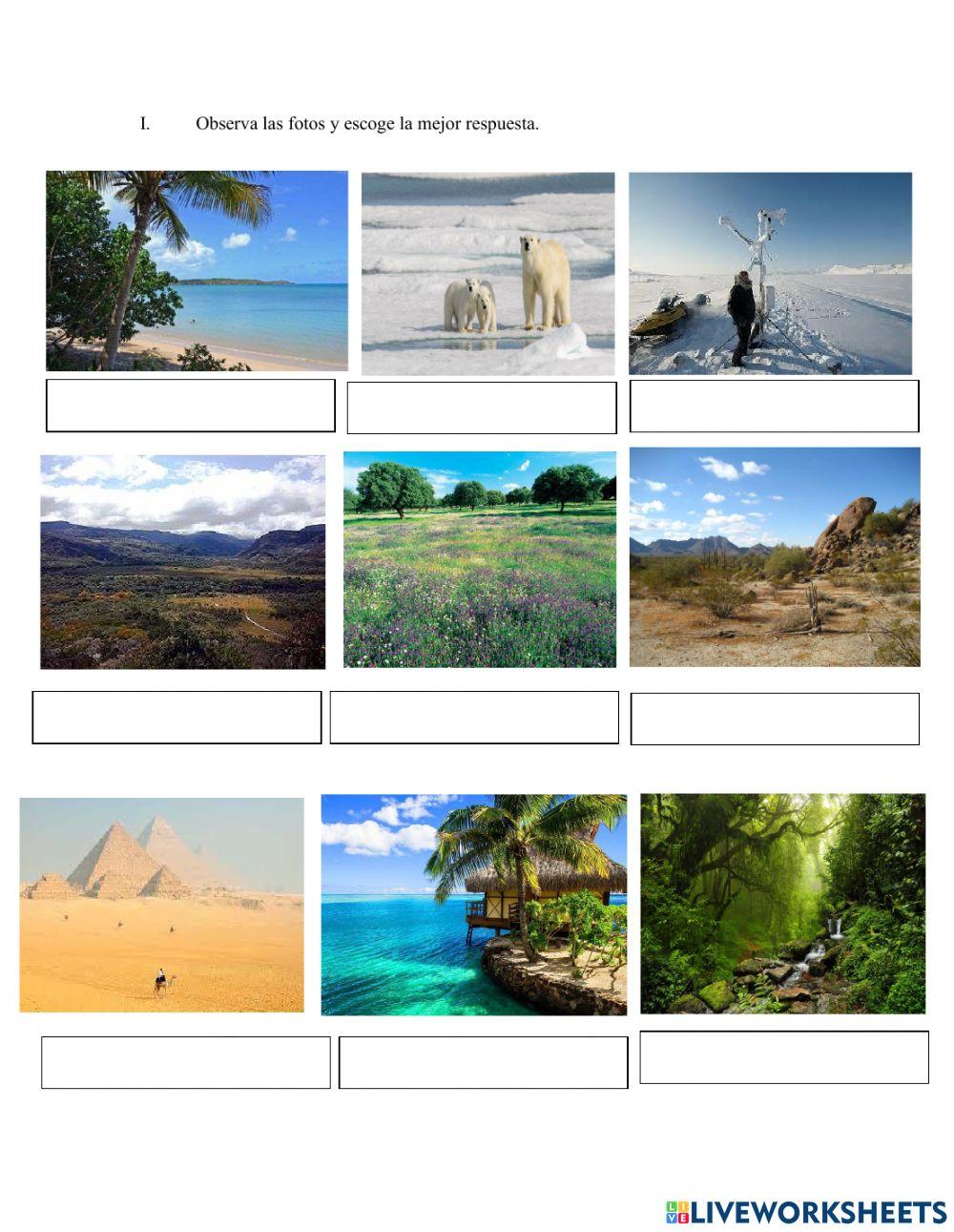El clima | Free Interactive Worksheets | 699263