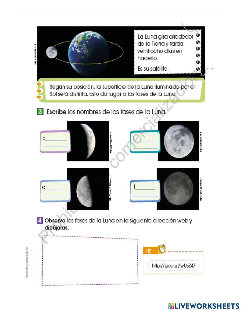 FASES DE LA LUNA | Free Interactive Worksheets | 4702678