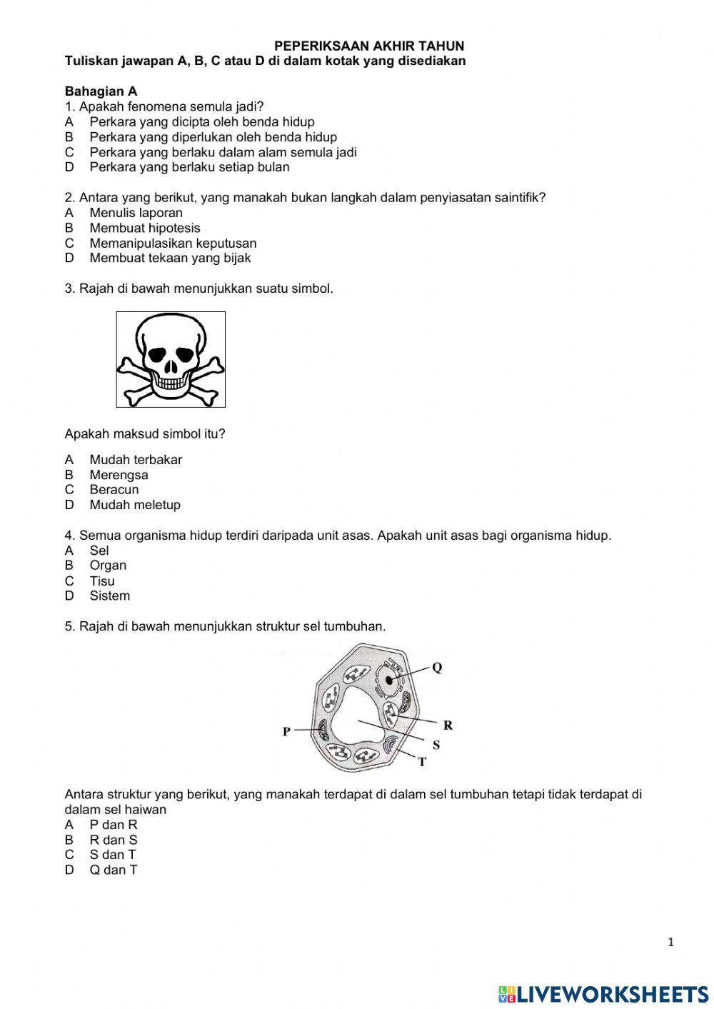 PAT Sains T1 Set 2 worksheet | Live Worksheets