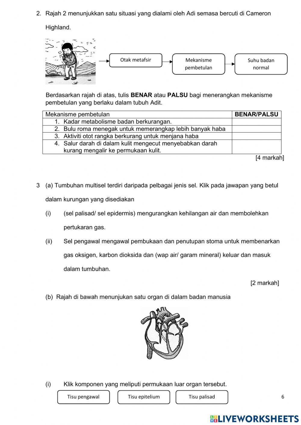 PAT Sains T1 Set 2 worksheet | Live Worksheets