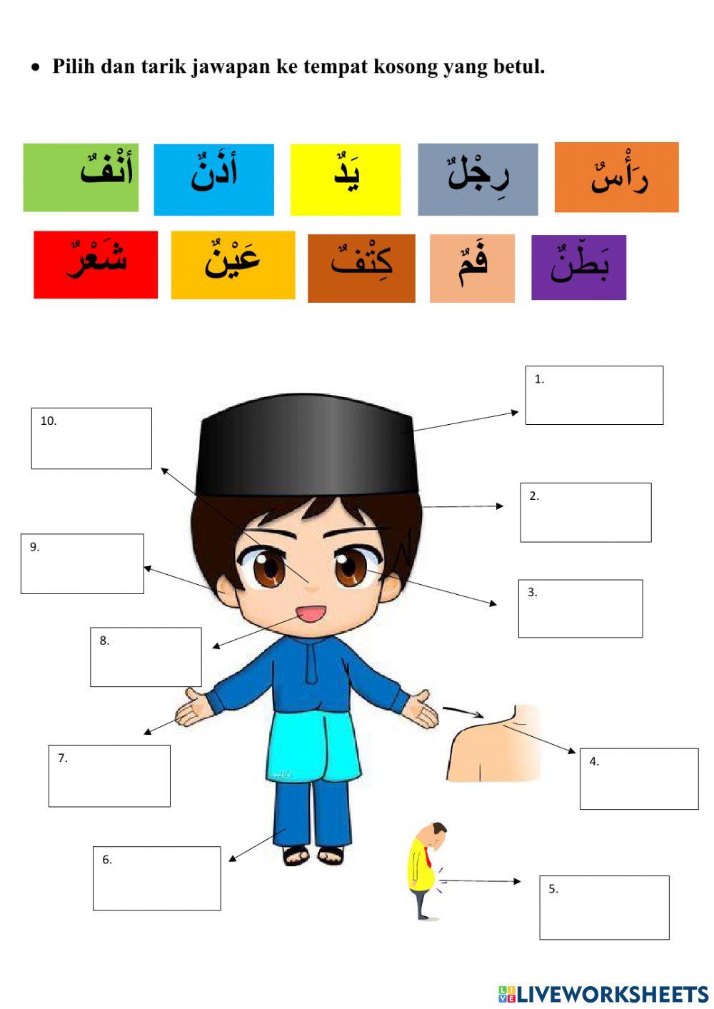 Bahasa Arab Mudah Anggota Badan Interactive Worksheet - vrogue.co
