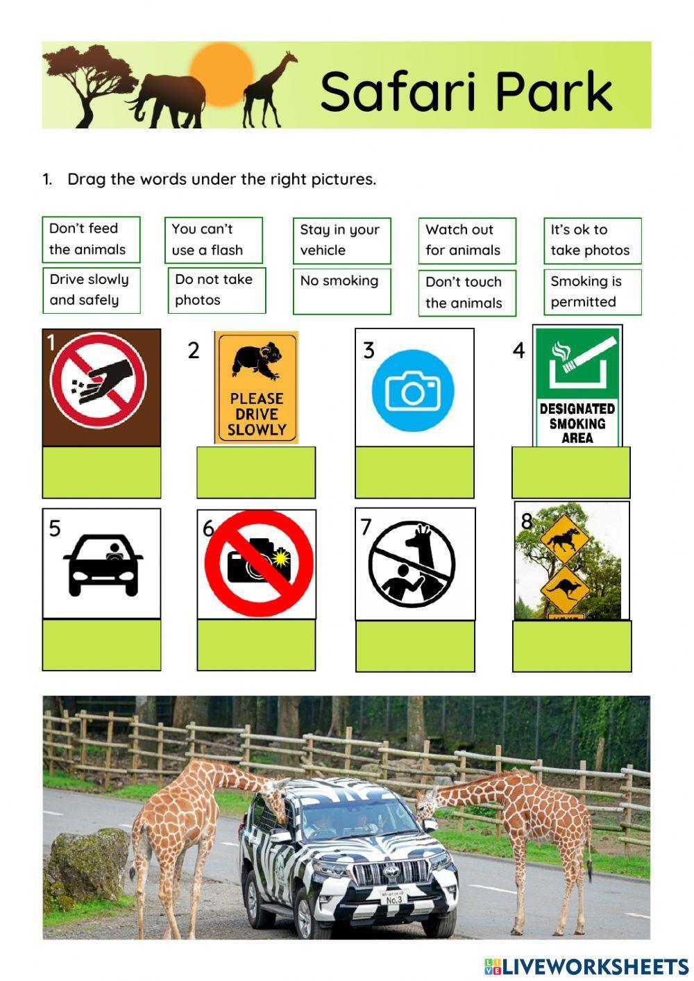 700188 | Safari Park (rules) | YolandaSQ