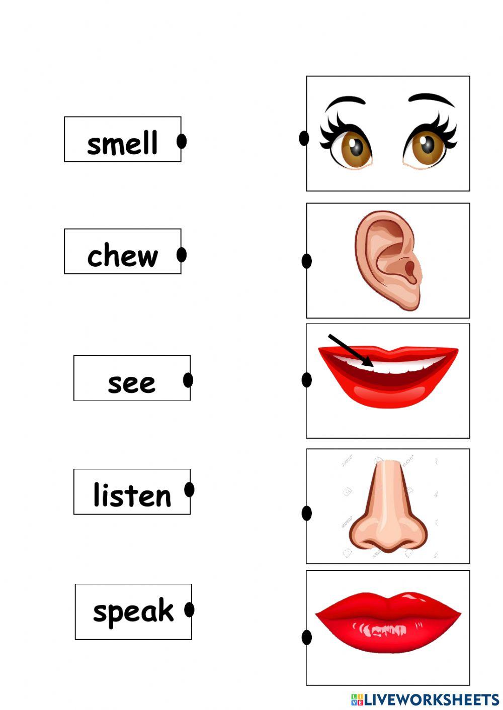 My face interactive exercise for special education | Live Worksheets