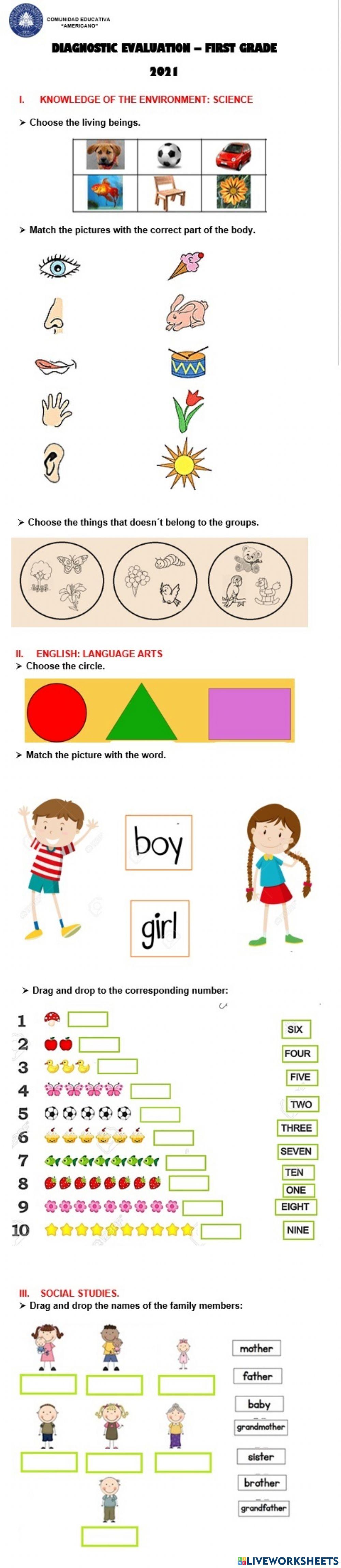 Diagnostic test 1º Grade worksheet | Live Worksheets